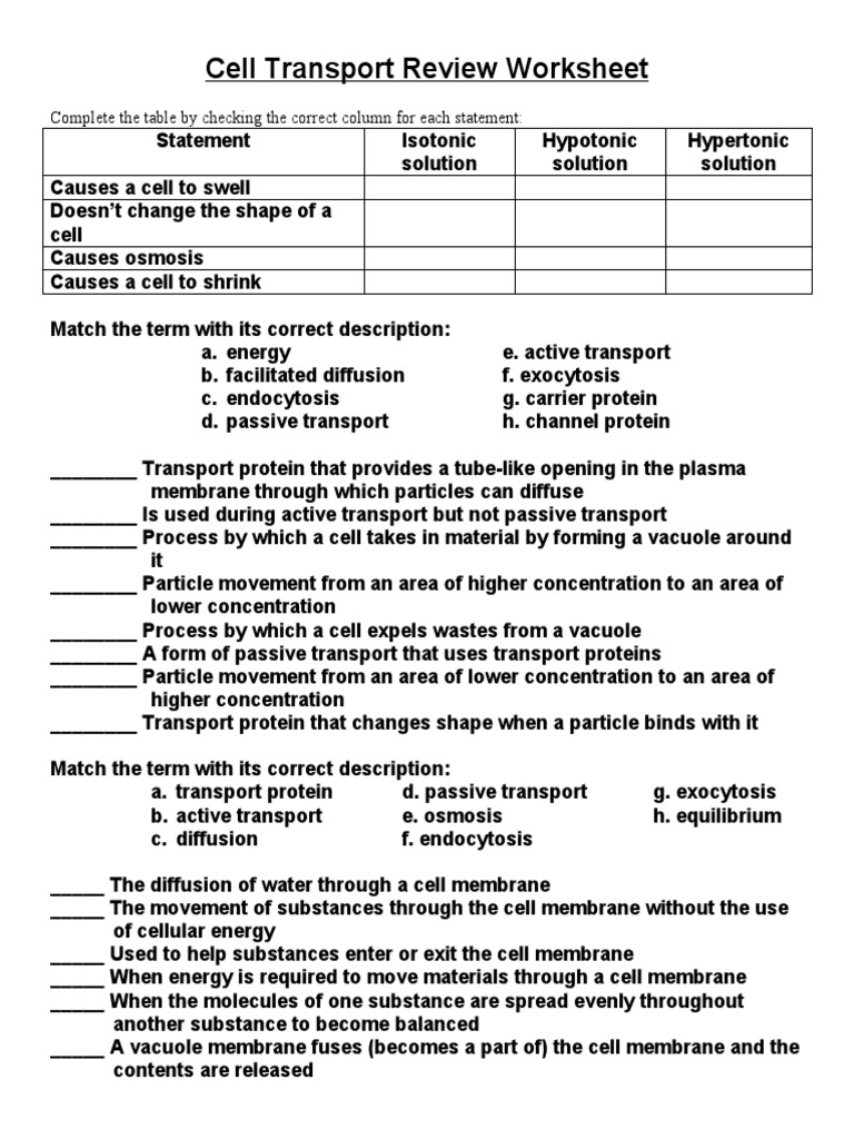 Cell Transport Review Worksheet: Complete The Table by Checking The ...