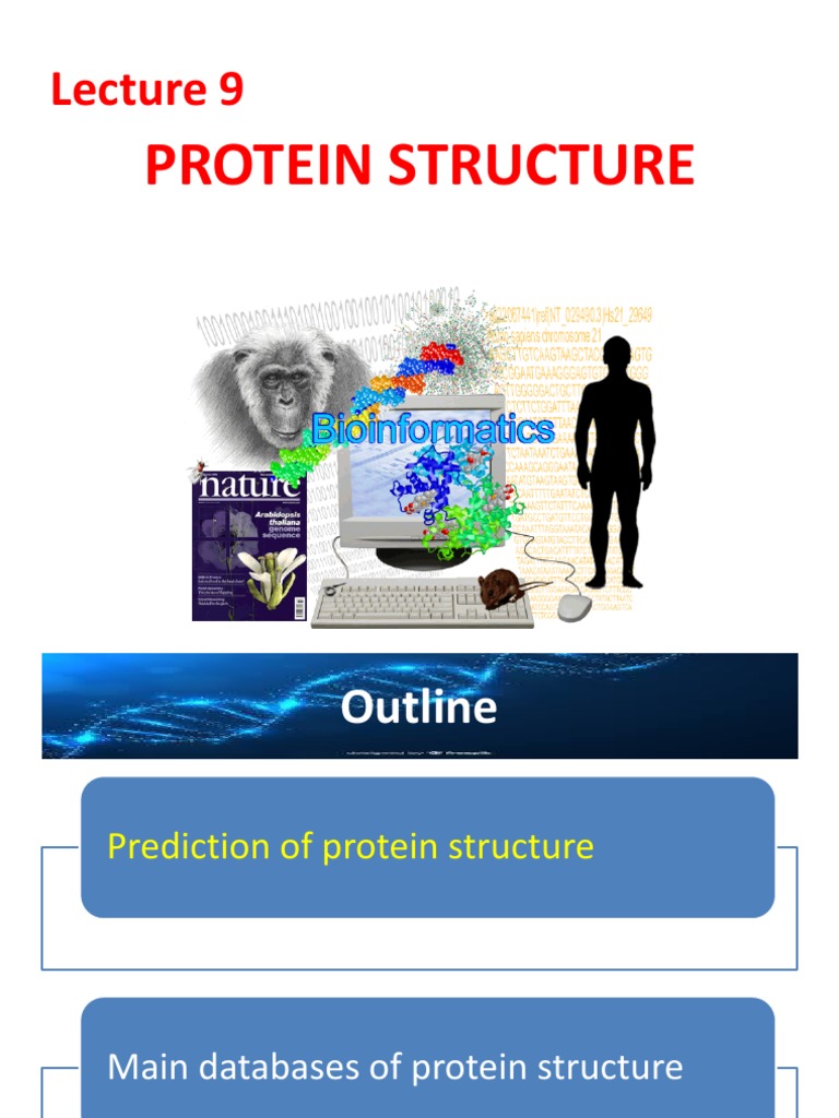 Understanding Protein Structure Basics | PDF | Beta Sheet | Protein ...