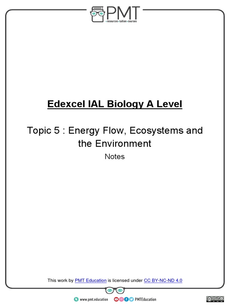 Energy Flow, Ecosystems and The Environment | PDF | Photosynthesis ...