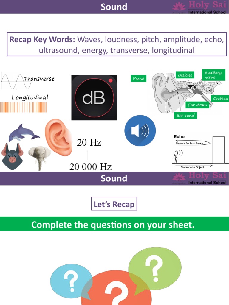 Echoes and UltraSound | PDF | Sound | Ear