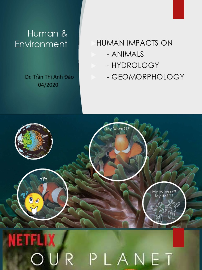 Human & Environment: Human Impacts On - Animals - Hydrology ...