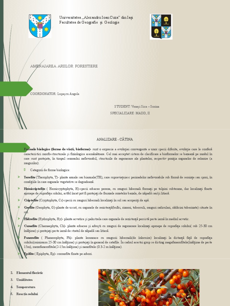 Amenajarea Ariilor Forestiere Venesi Sica Sorina Madd II | PDF