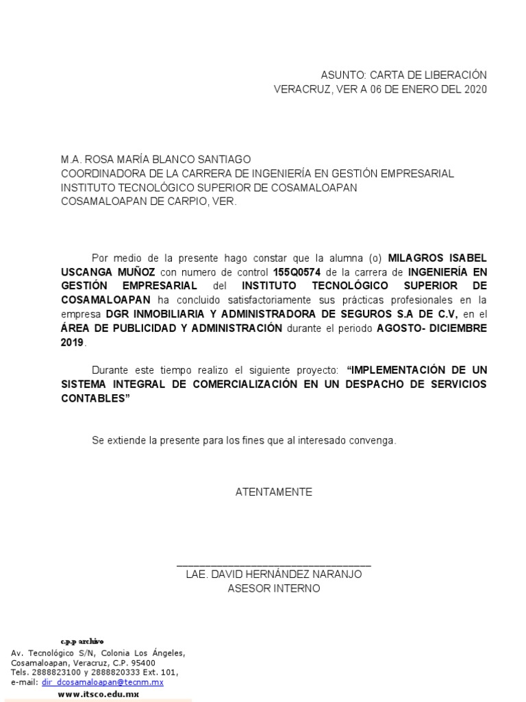Carta de Liberacion Asesor Interno | PDF