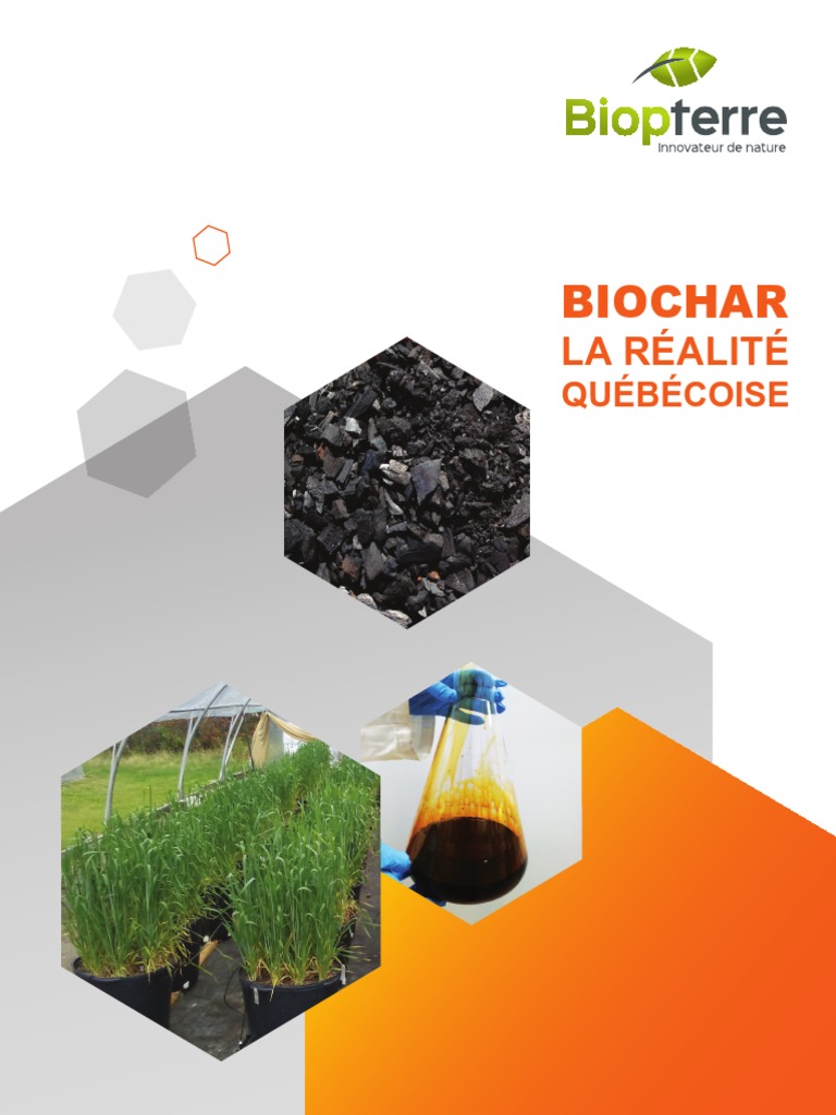 Bio Char | PDF | Sol (pédologie) | Pyrolyse
