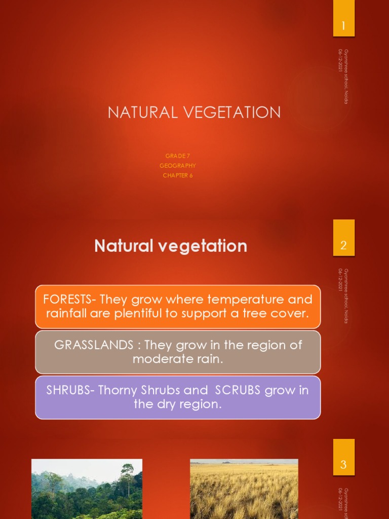 Natural Vegetation: Grade 7 Geography | PDF | Forests | Temperate Climate
