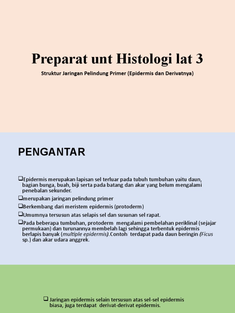 Preparat Epidermis | PDF | Sains & Matematika