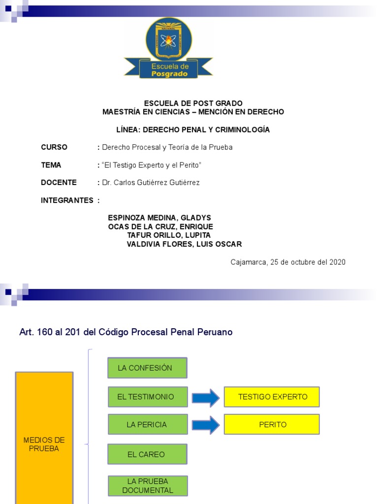 Testigo Experto y Perito | PDF | Experto | Testigo