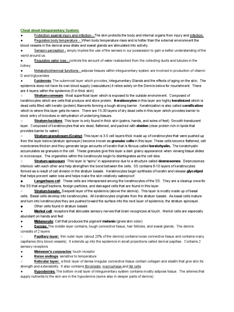 Cheat Sheet Integumentary System | PDF | Integumentary System | Skin