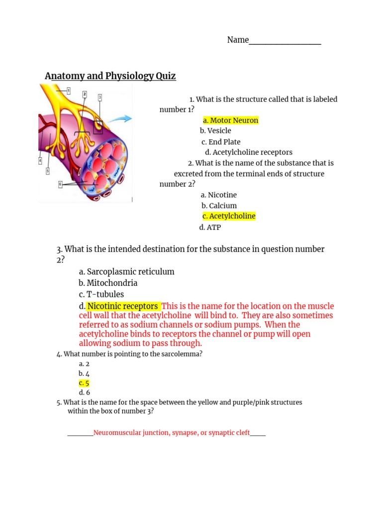 Science Olympiad Practice Test-Copy of Quiz Answers | PDF | Dance ...