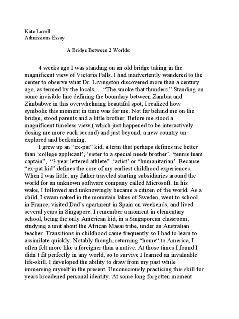 A Bridge Between 2 Worlds | PDF | Cognition | Psychological Concepts