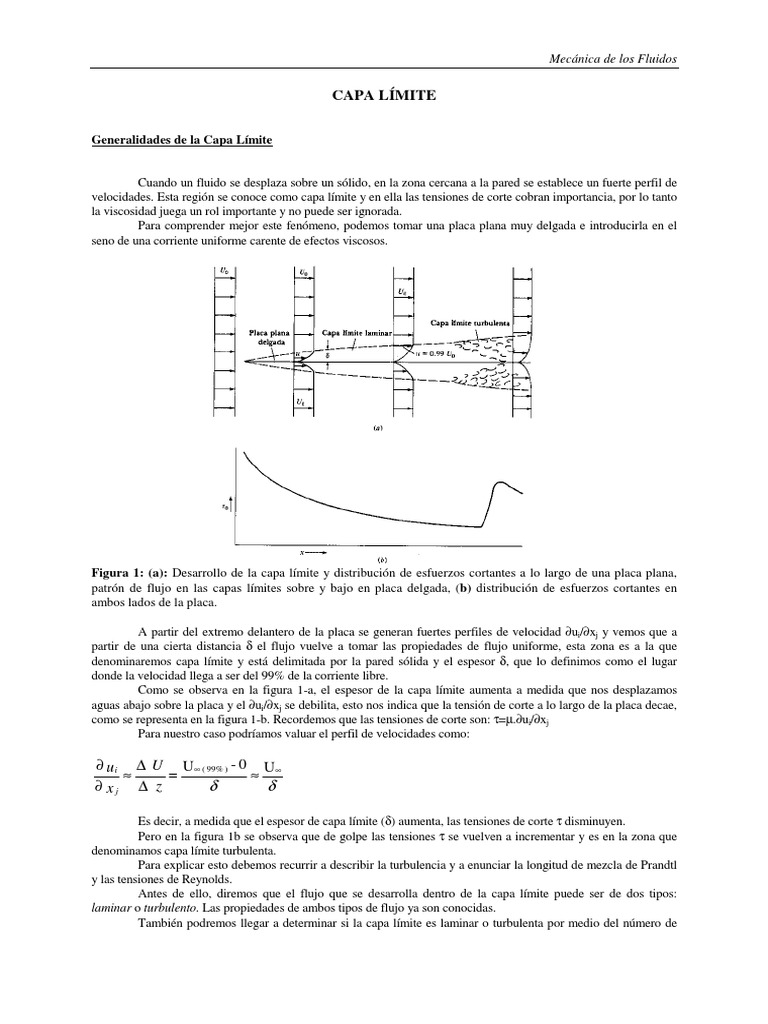 Capa Límite | PDF | Turbulencia | Capa límite