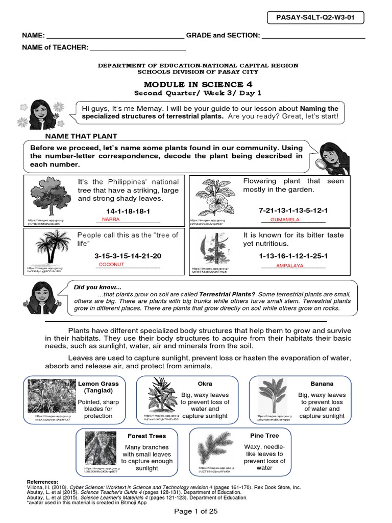 Naming Specialized Plant Structures | PDF | Plants | Trees