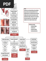 Woc Hematemesis Melena | PDF