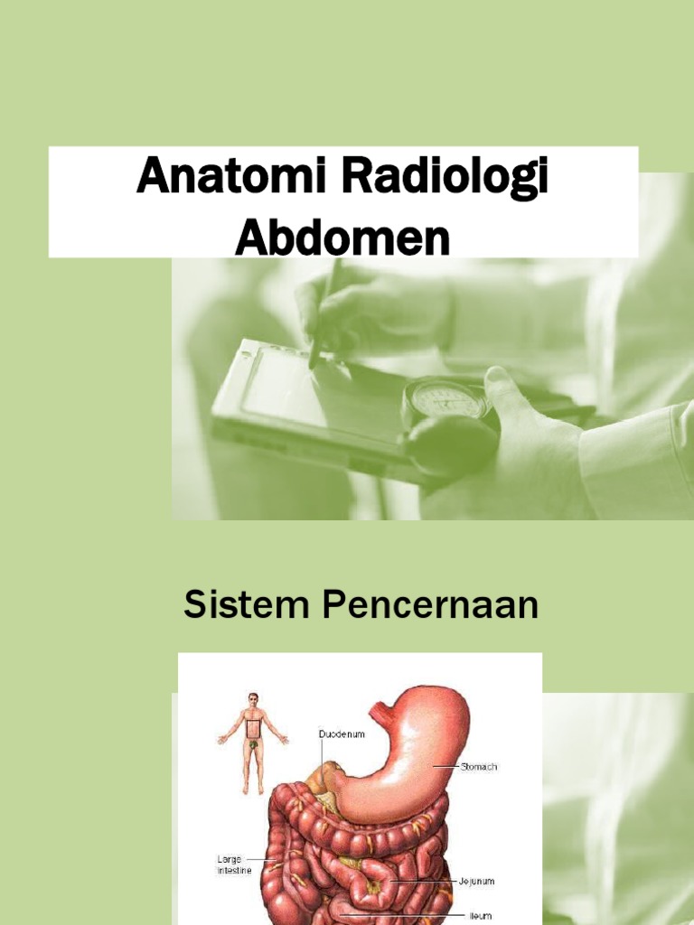 Anatomi Radiologi Abdomen | PDF