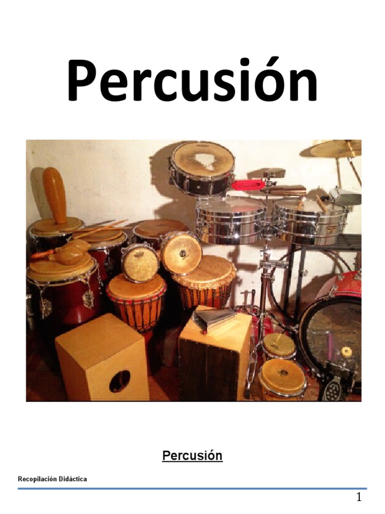 PERCUSIÓN | PDF | Instrumentos musicales | Ritmo