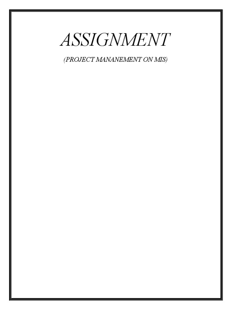 Assignment Project Mananement On Mis Pdf Management Information
