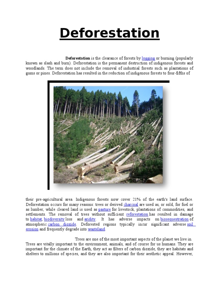 Deforestation: Deforestation Is The Clearance of Forests by | PDF | Deforestation | Forests