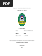 Laporan Praktikum Pembuatan Media, Isolasi Bakteri, Dan Identifikasi ...