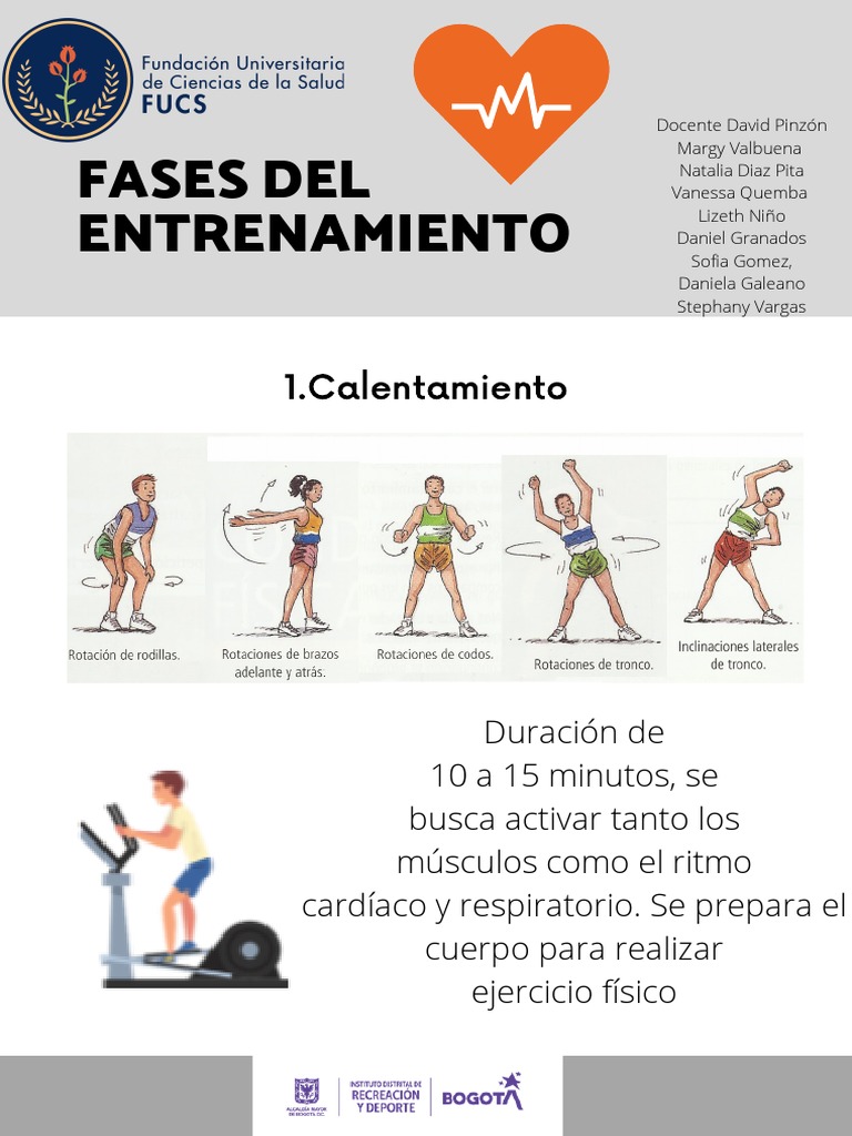 Fases Del Entrenamiento | PDF | Ejercicio físico | Aptitud física Fases Del Entrenamiento | PDF | Ejercicio físico | Aptitud física