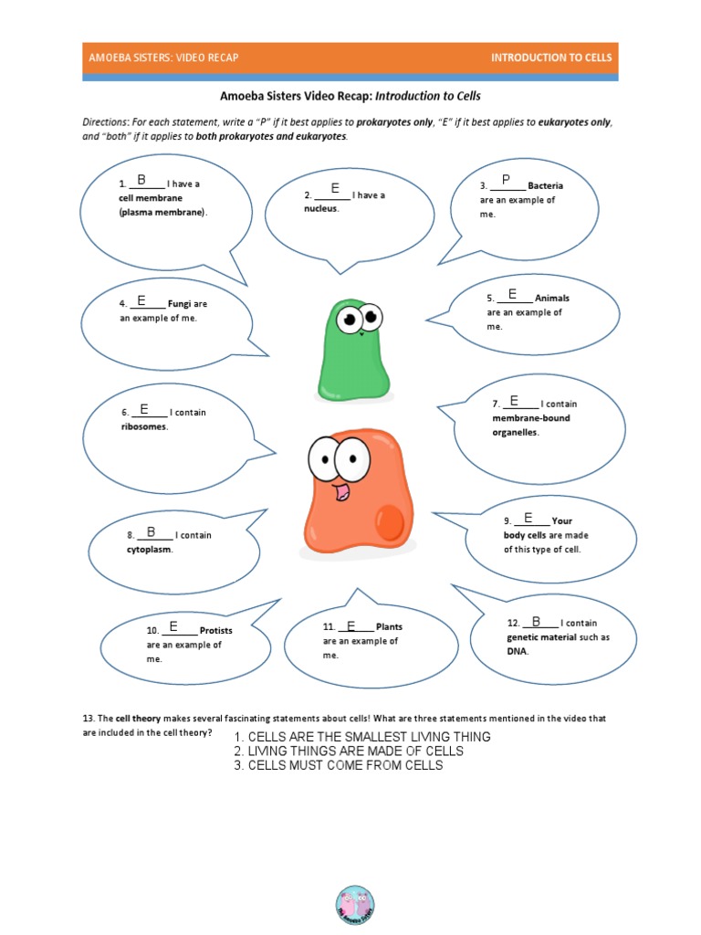 Bio - Cells - Amoeba Sisters Intro KEY | PDF | Cell (Biology) | Eukaryotes