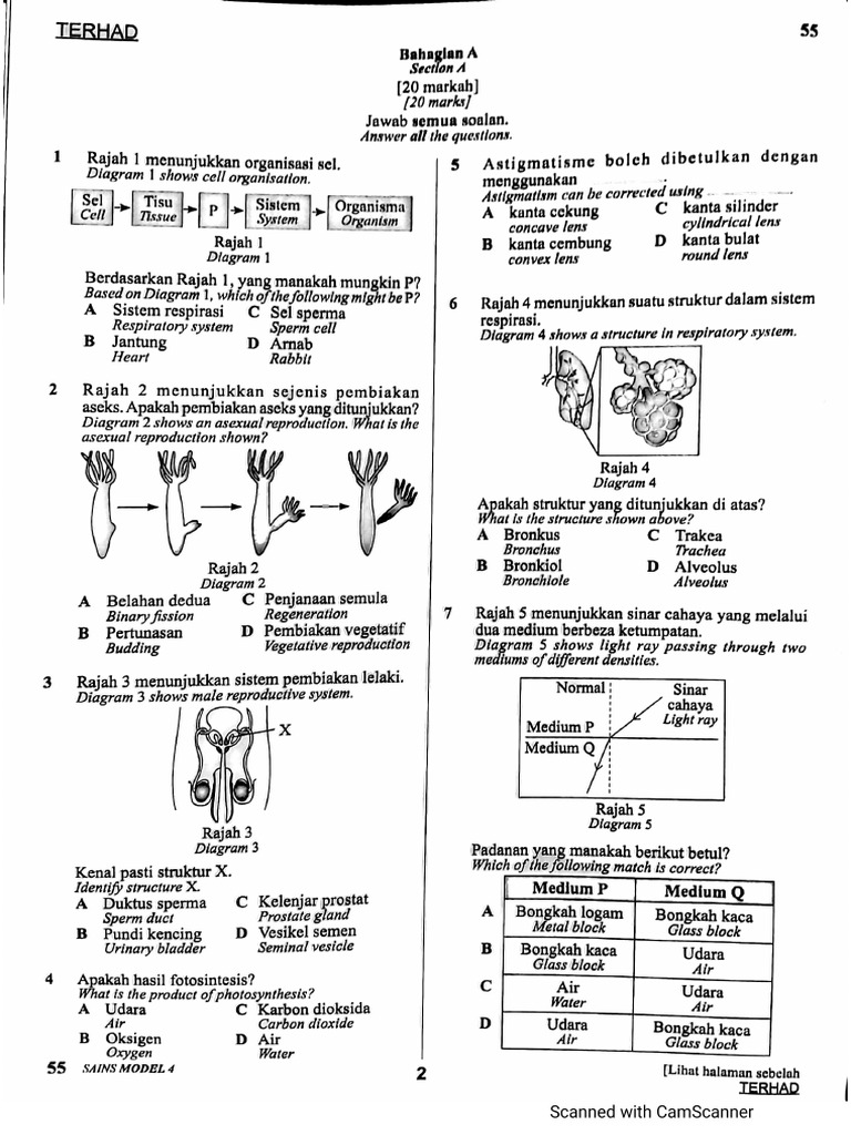 Kertas Model 4 f3 | PDF