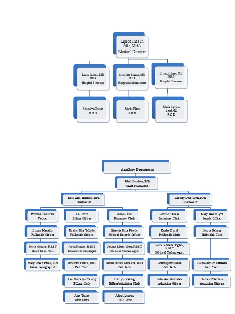 Organizational Chart | PDF | Medicinal Chemistry | Pharmacology