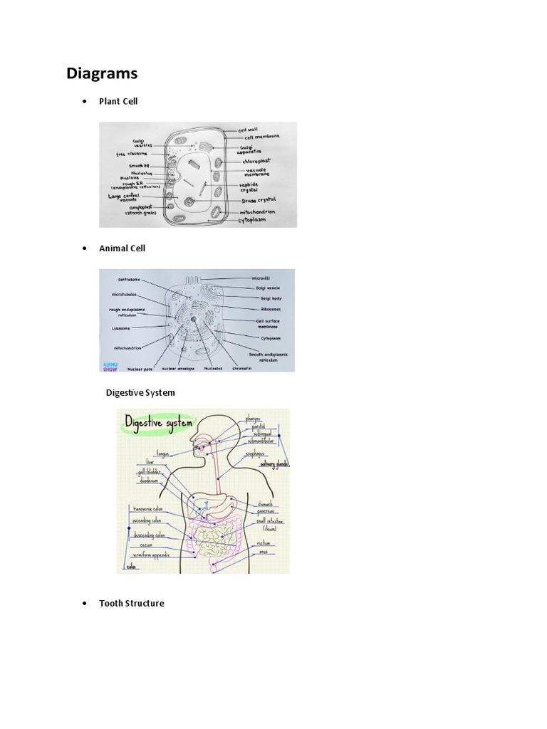 Diagrams | PDF | Wellness | Science & Mathematics