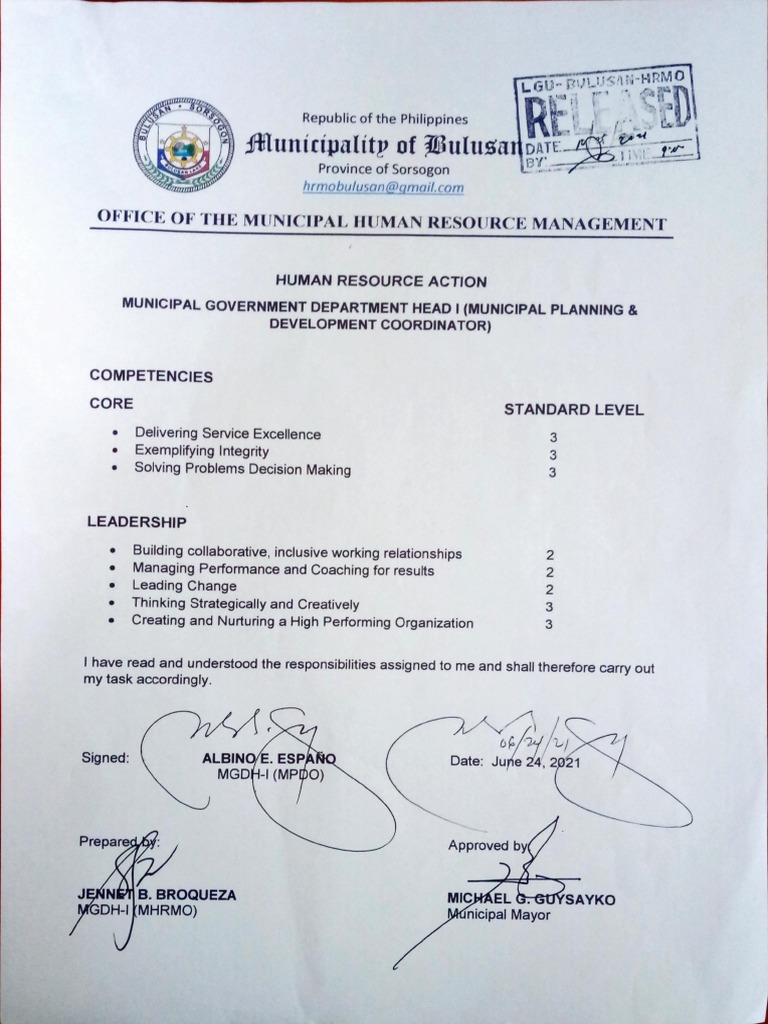 MPDO Comp. Summary | PDF