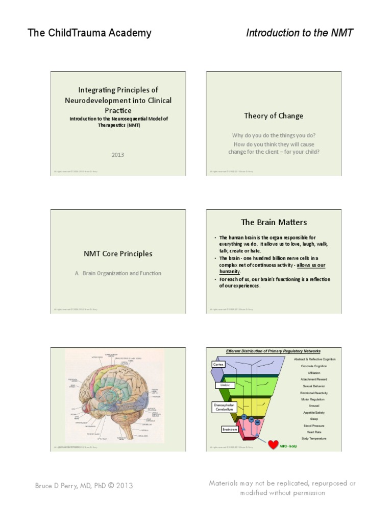 Bruce Perry Slides | PDF | Cerebral Cortex | Brain