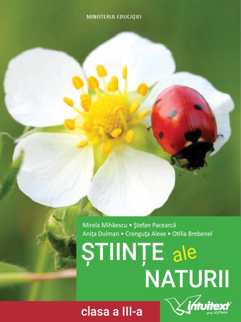 Intuitext Manual STI Cls 3 | PDF