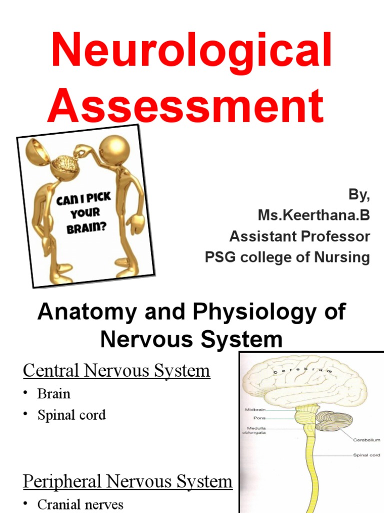 Neurological Assessment: By, Ms - Keerthana.B Assistant Professor PSG ...