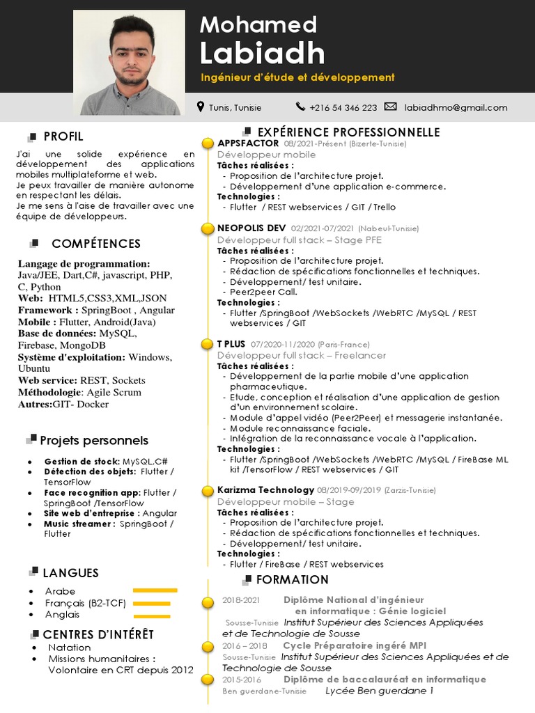 CV Mohamed LABIADH092021 | PDF | Programmeur | Internet