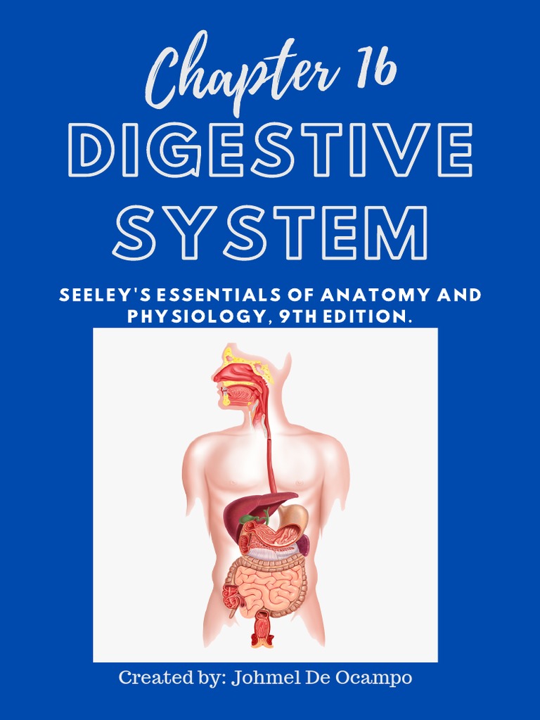 Anatomy & Physiology (Chapter 16 - Digestive System) Body System | PDF ...