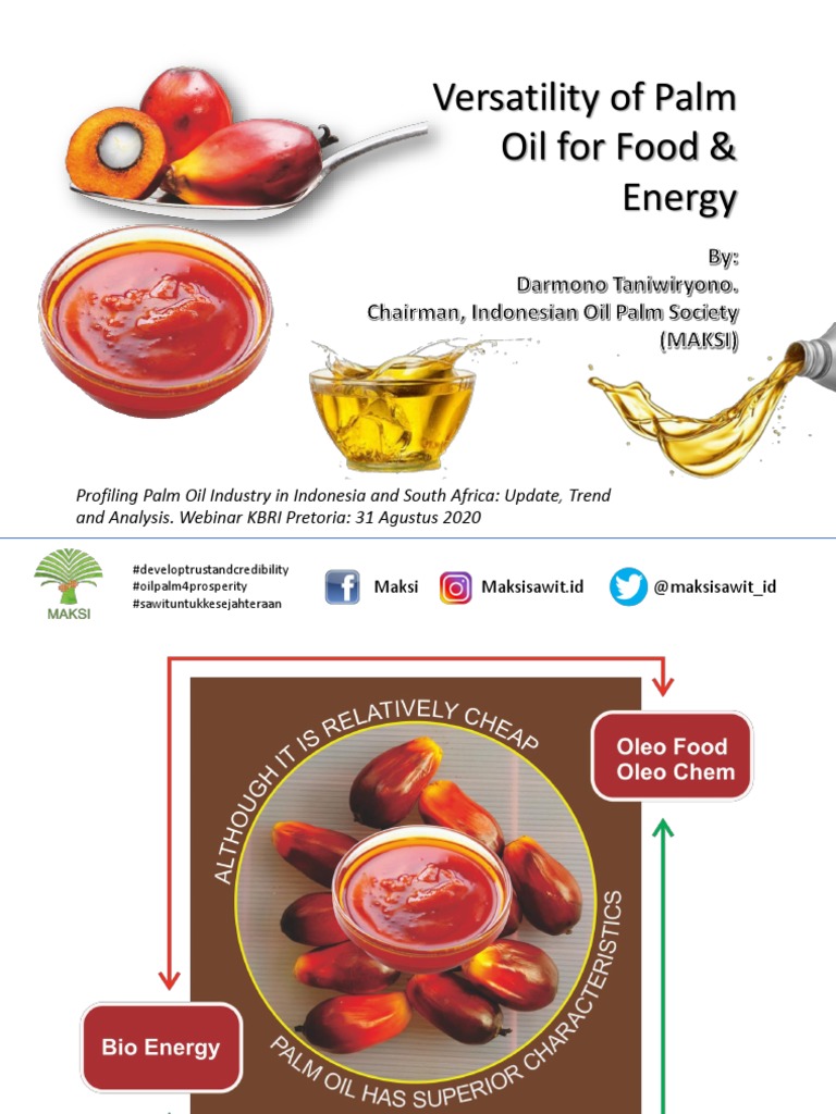 Darmono Taniwiryono Presentation | PDF | Palm Oil | Chemical Substances