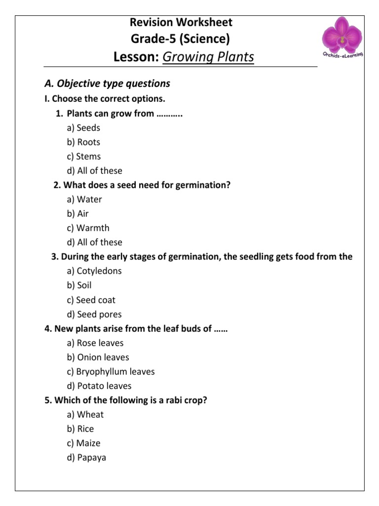 Class 5 Growing Plants Revision Worksheet | PDF | Seed | Germination