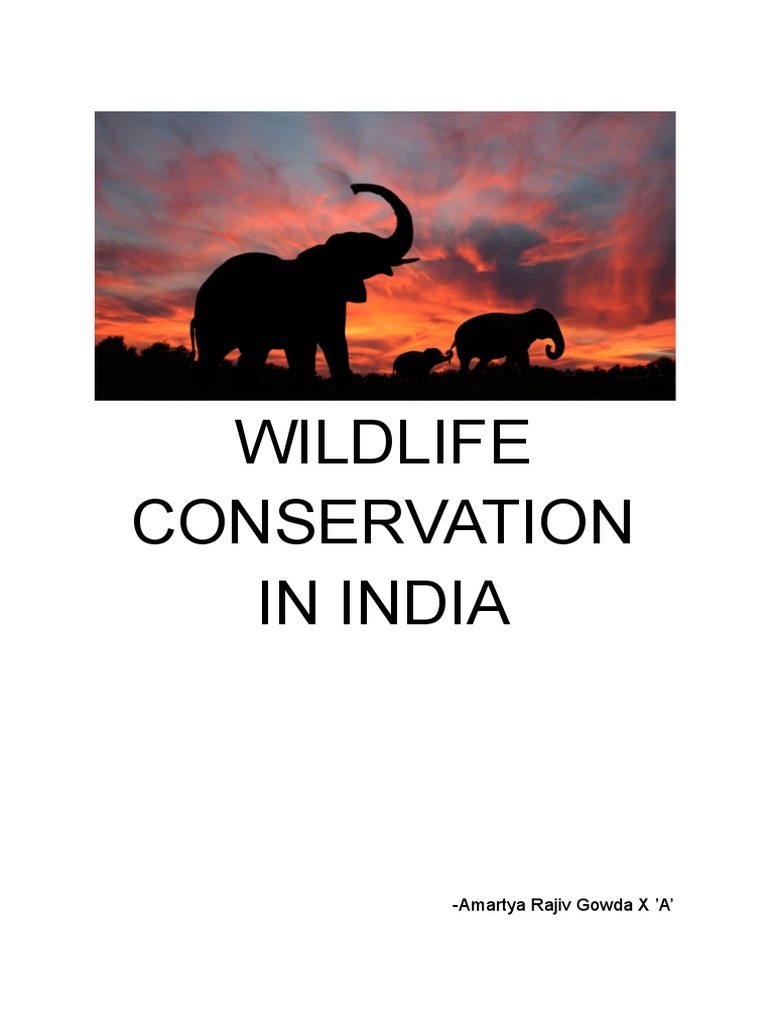 Wildlife Conservation in India ICSE Grade 10th GEOGRAPHY Project | PDF