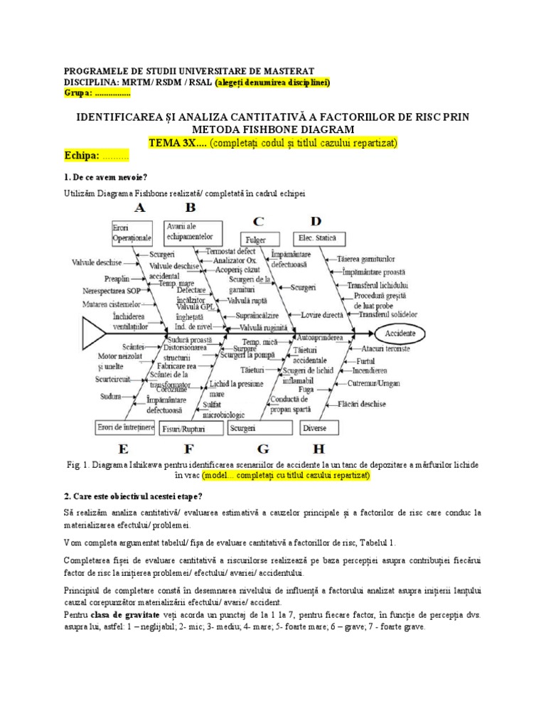 MRTM - Fishbone Diagram - Analiza de Risc | PDF