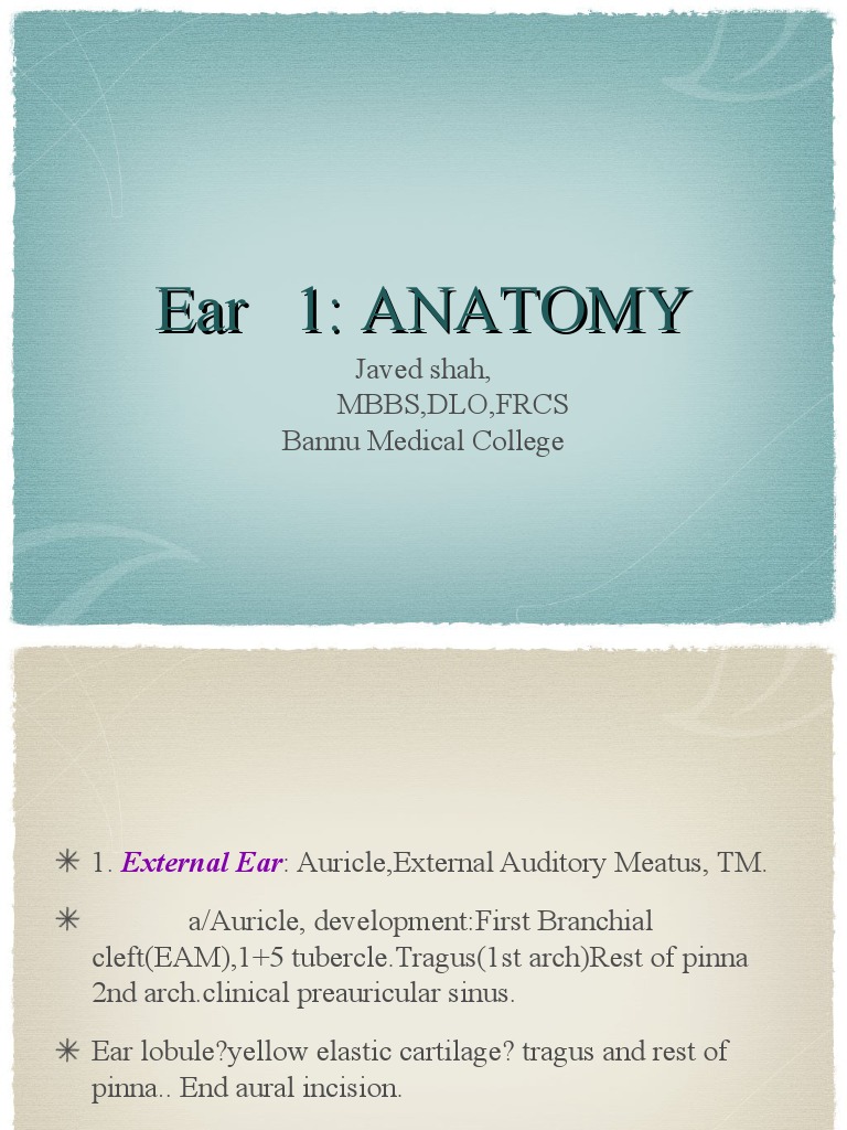 EAR 1 Anatomy | PDF | Ear | Auditory System