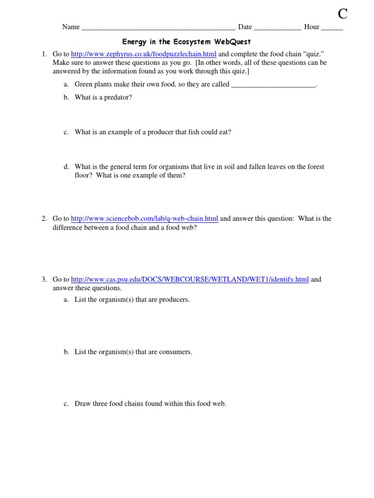 Ecosystem Energy WebQuest | PDF | Food Web | Nature