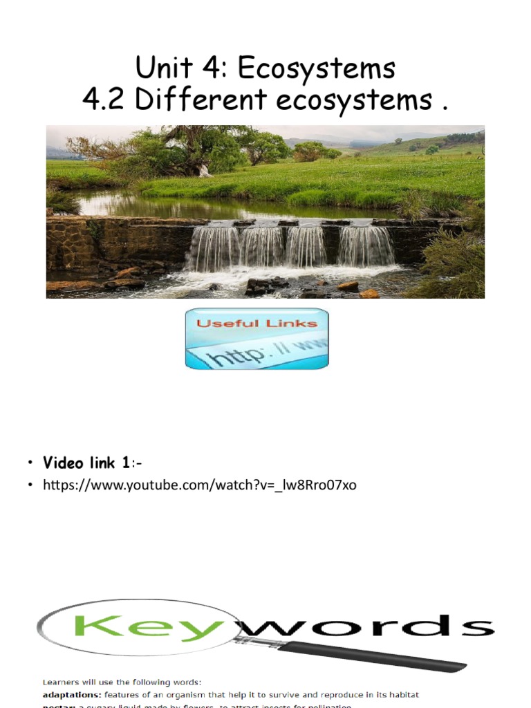 Exploring Different Ecosystems | PDF | Wellness | Science & Mathematics