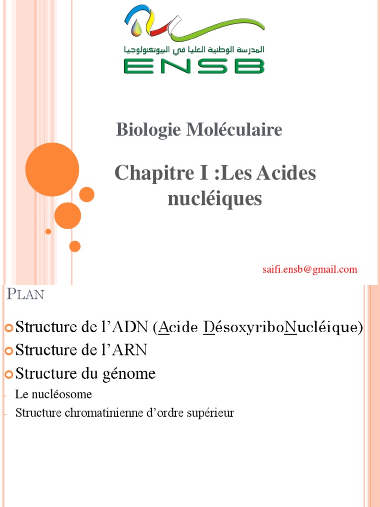 Acides Nucléiques 2020 - 2021 | PDF | ADN | Histone