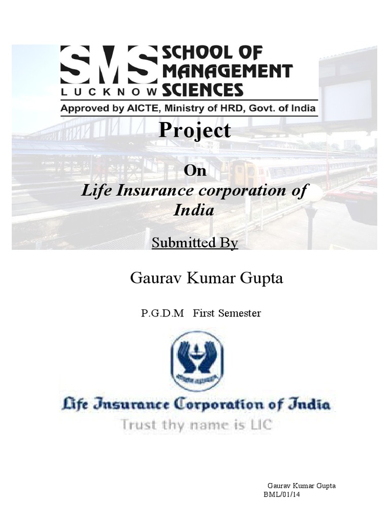 Project: Life Insurance Corporation of India | PDF | Insurance | Life ...