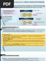 Mola Hidatiforme Definicion Etiologia Fisiopatologia Diagnostico ...