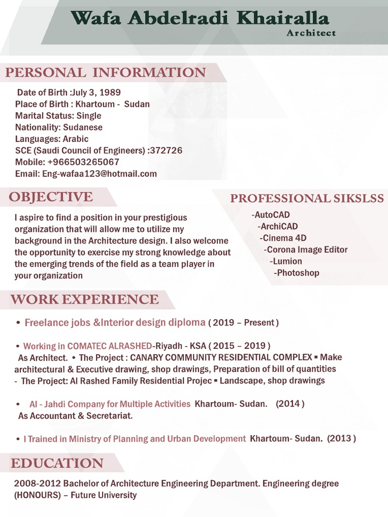 Sudanese Architect Seeking Opportunities | PDF