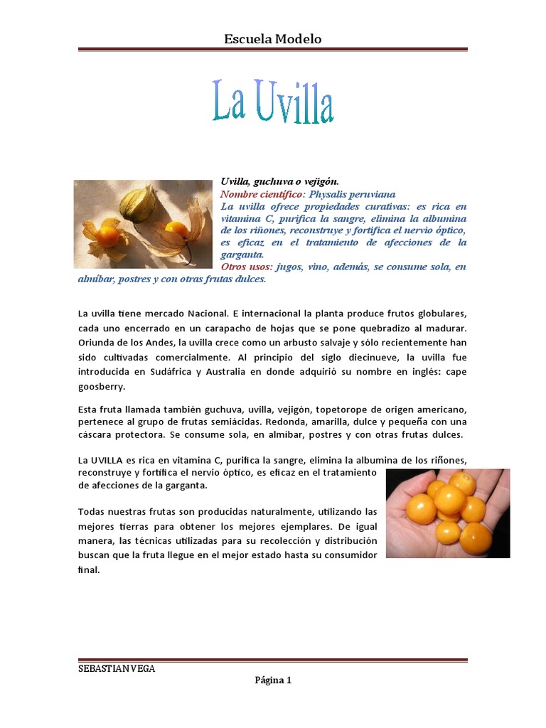 La Ubilla | PDF | Botánica | Organismos