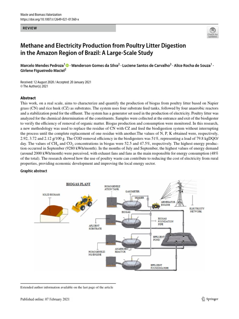 PEDROZA - 2021 - Methane and Electricity Production From Poultry Litter ...