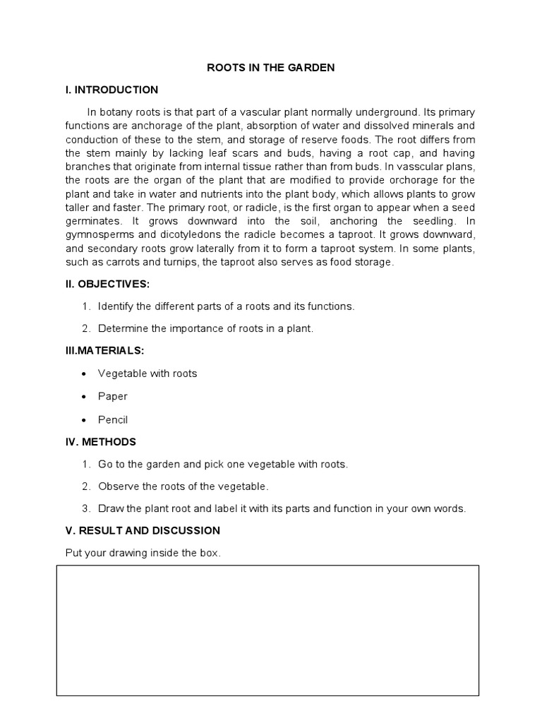 Roots Laboratory Activity | PDF