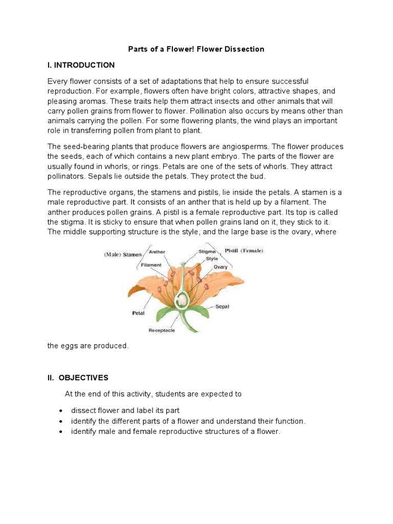 Parts of A Flower! Flower Dissection L. Introduction | PDF | Flowers ...