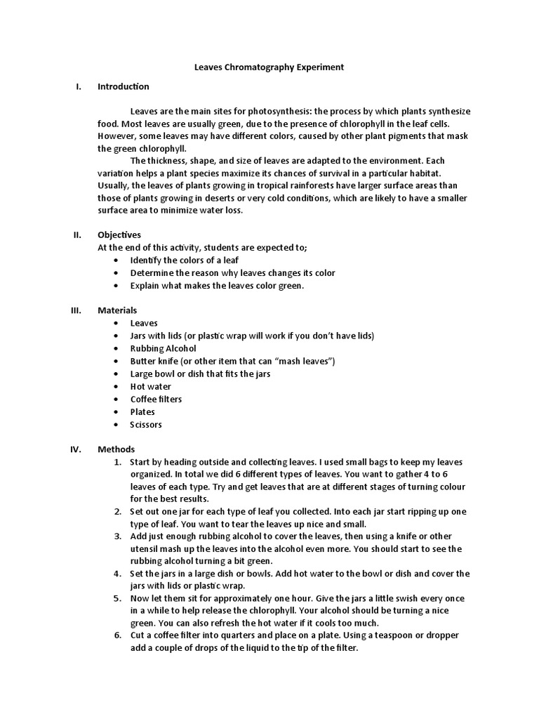 Leaf Chromatography Lab Activity | PDF | Leaf | Plants