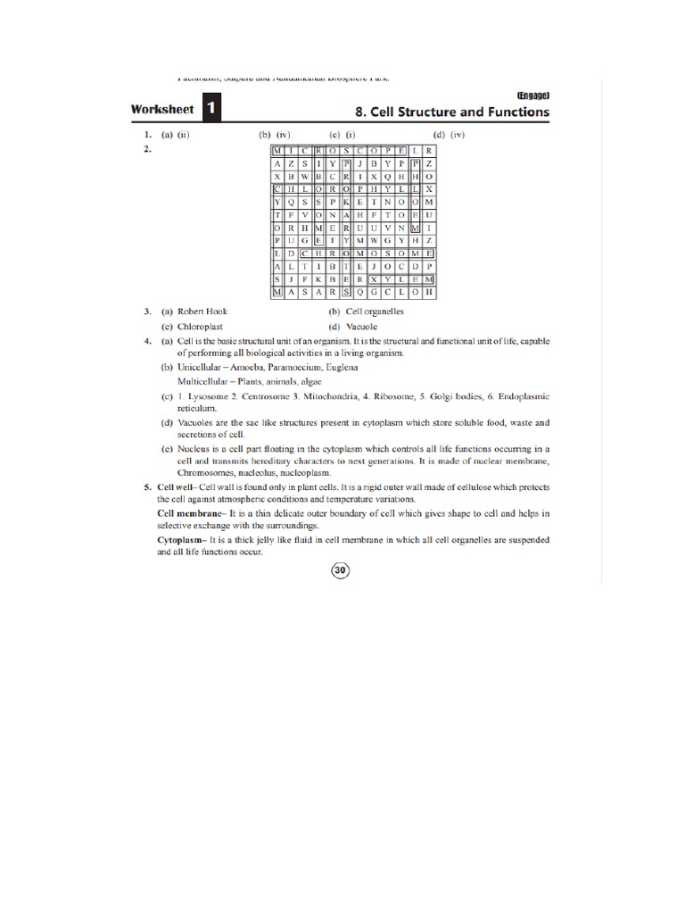 Grade 8 Cell (Pullout Worksheets) | PDF